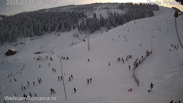 Webcam Partia Carlibaba - Webcam Romania