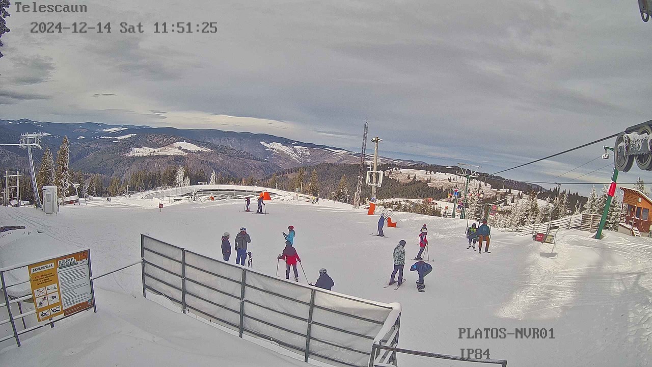 Webcam Arena Platos Paltinis - Imagini live partie si conditii schi