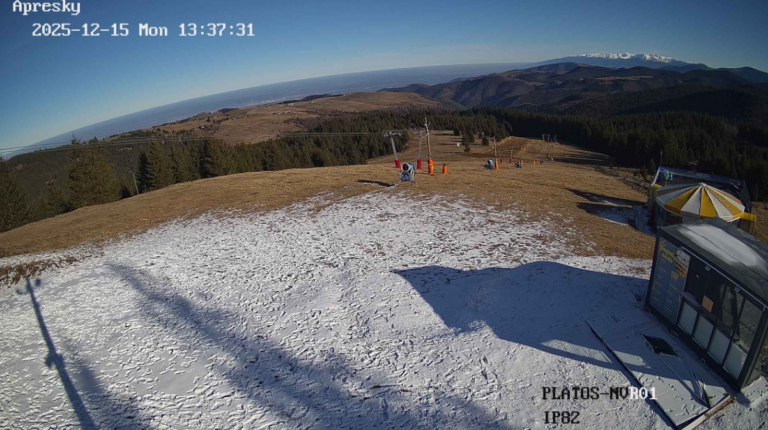 Webcam Partia Soarelui Paltinis Arena - Webcam Romania