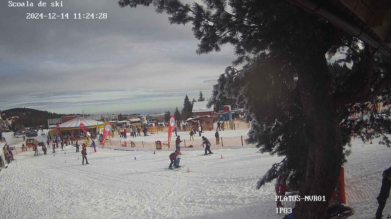 Webcam Partia Platos Scoala de Schi Paltinis Arena - Webcam Romania