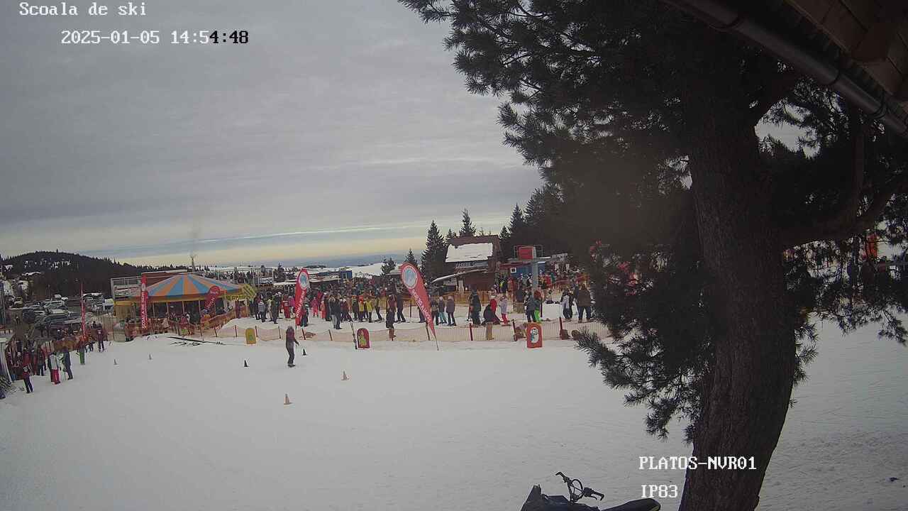 Webcam Partia Platos Scoala de Schi Paltinis Arena - Webcam Romania