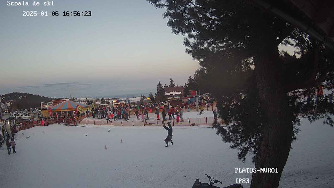 Webcam Partia Platos Scoala de Schi Paltinis Arena - Webcam Romania