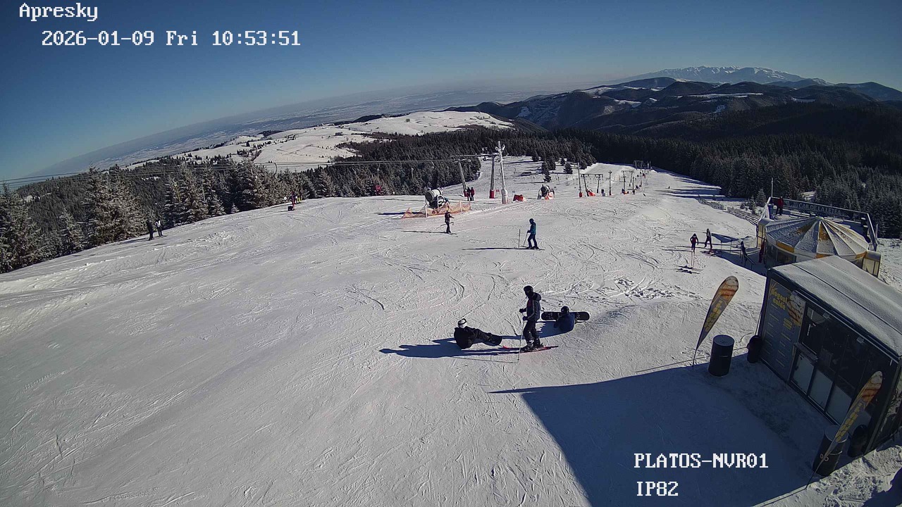 Webcam Partia Soarelui Paltinis Arena - Webcam Romania