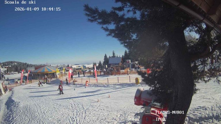Webcam Partia Telescaun Paltinis live - Camera live parti Paltinis