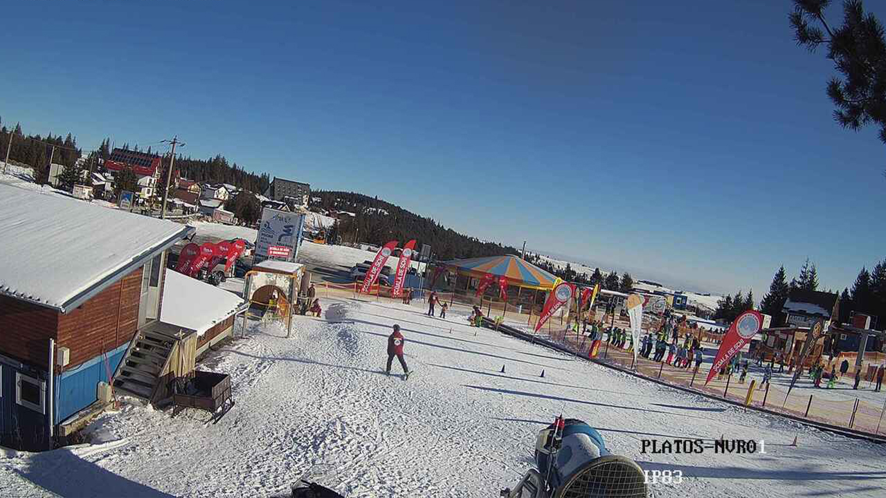 Webcam Partia Platos Scoala de Schi Paltinis Arena - Webcam Romania