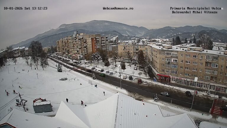 Webcam Partia Vartop II Arieseni live - Camere live partii de schi