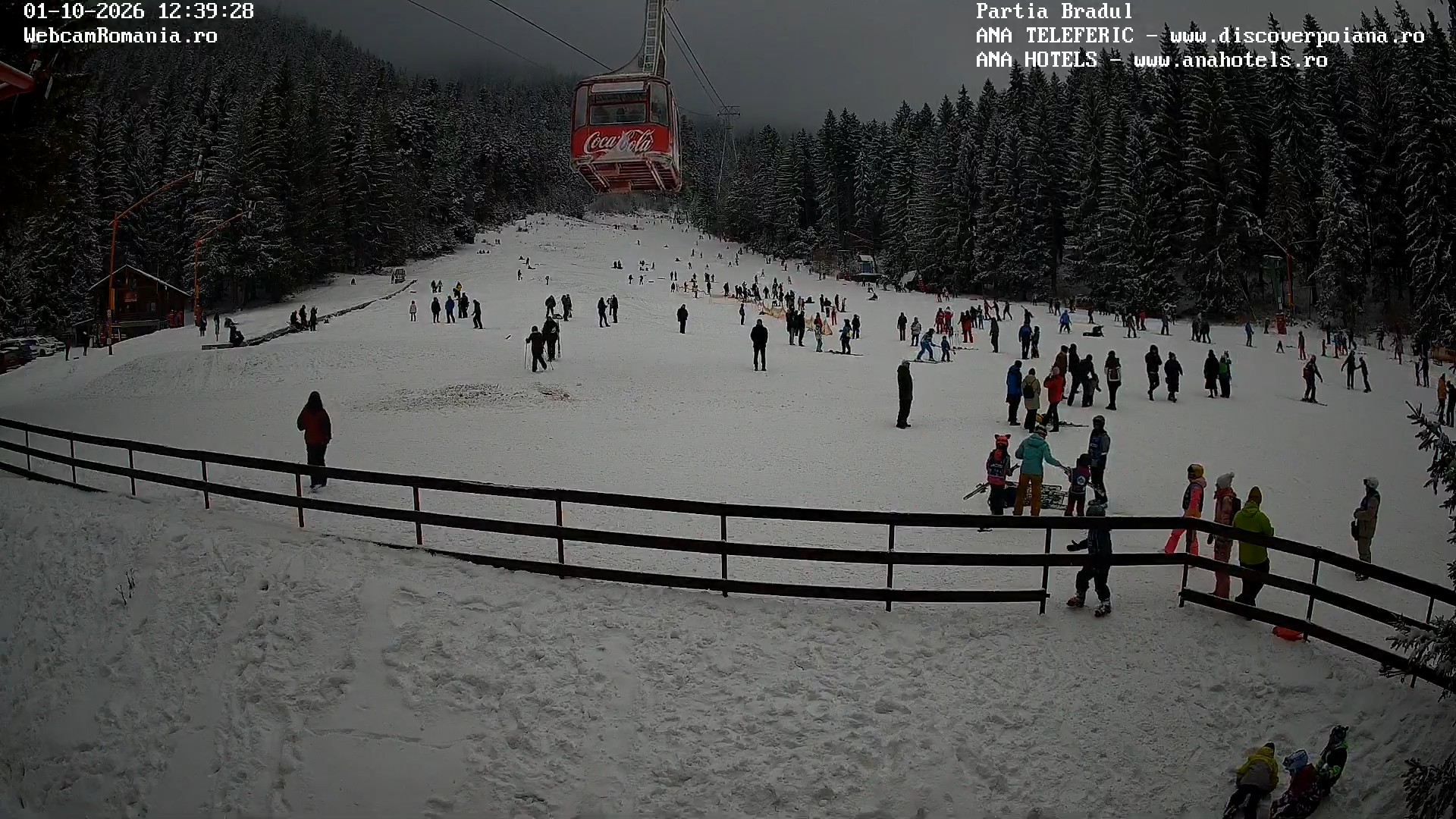 Webcam Pârtia Poiana Brașov - Webcam live Brașov