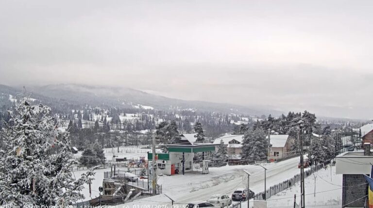 Webcam Partia Straja - Live Pârtie Schi Straja