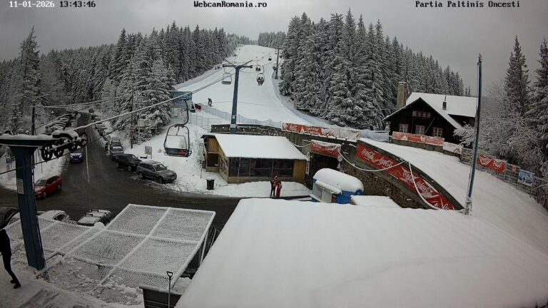 Webcam Partia Platos Scoala de Schi Paltinis Arena - Webcam Romania