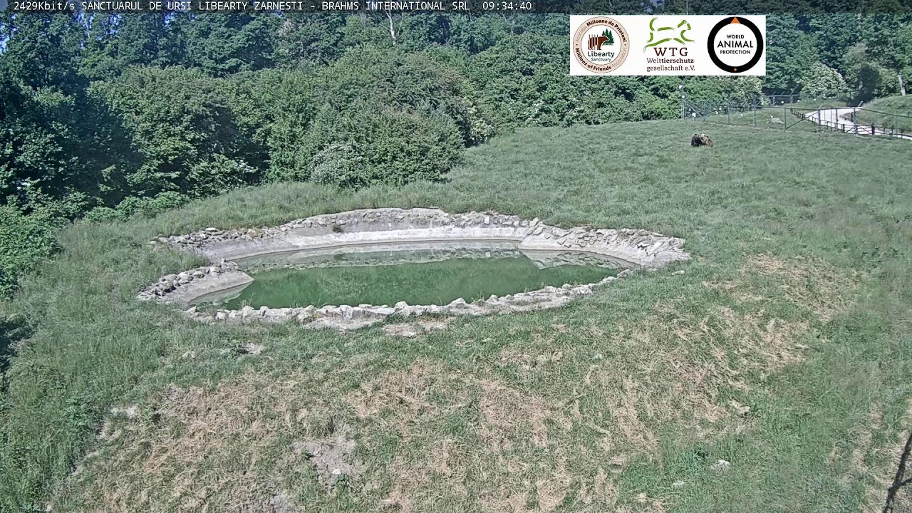 Webcam Partia Clabucet live - Camere live partii de schi Predeal
